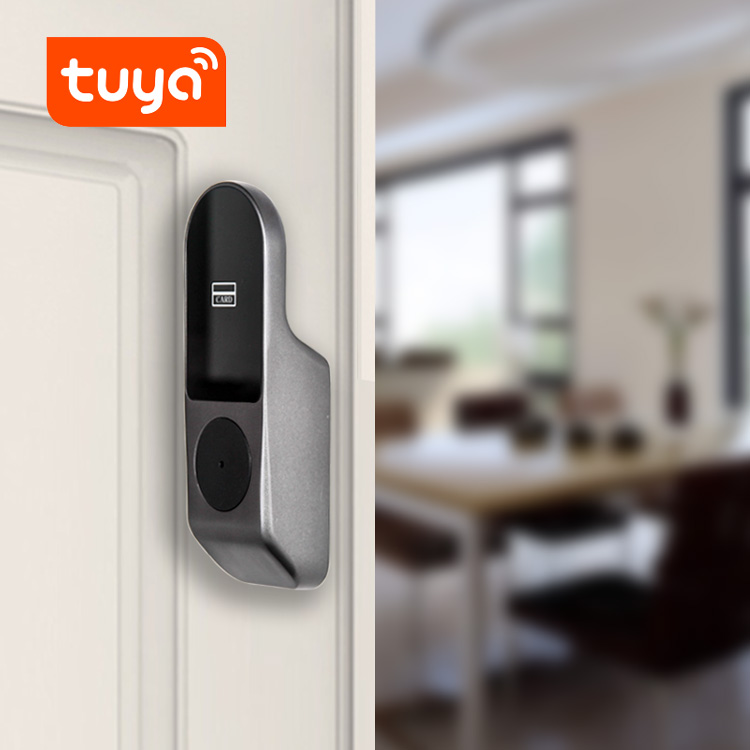 External Installation Smart Electronic fingerprint intelligent Door Lock